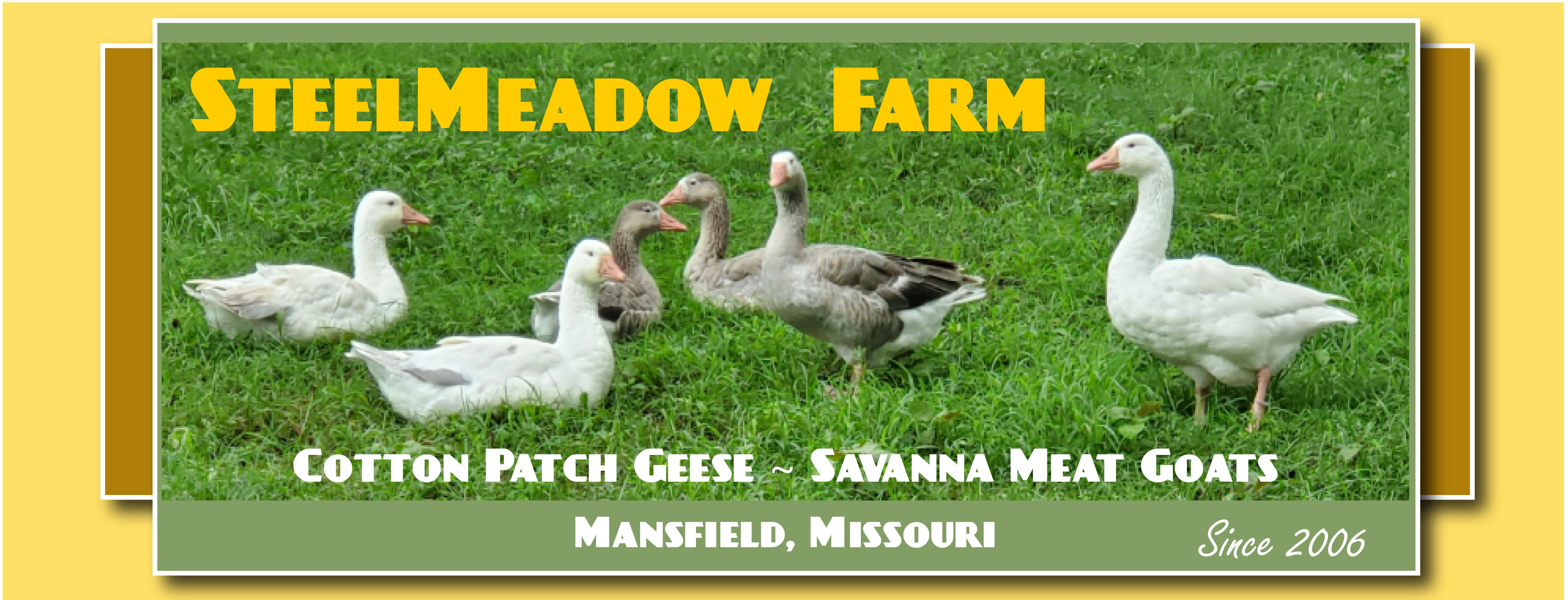 SteelMeadow Farm